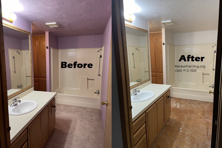 Interior Bathroom Painting 2021 – Renew Painting LLC